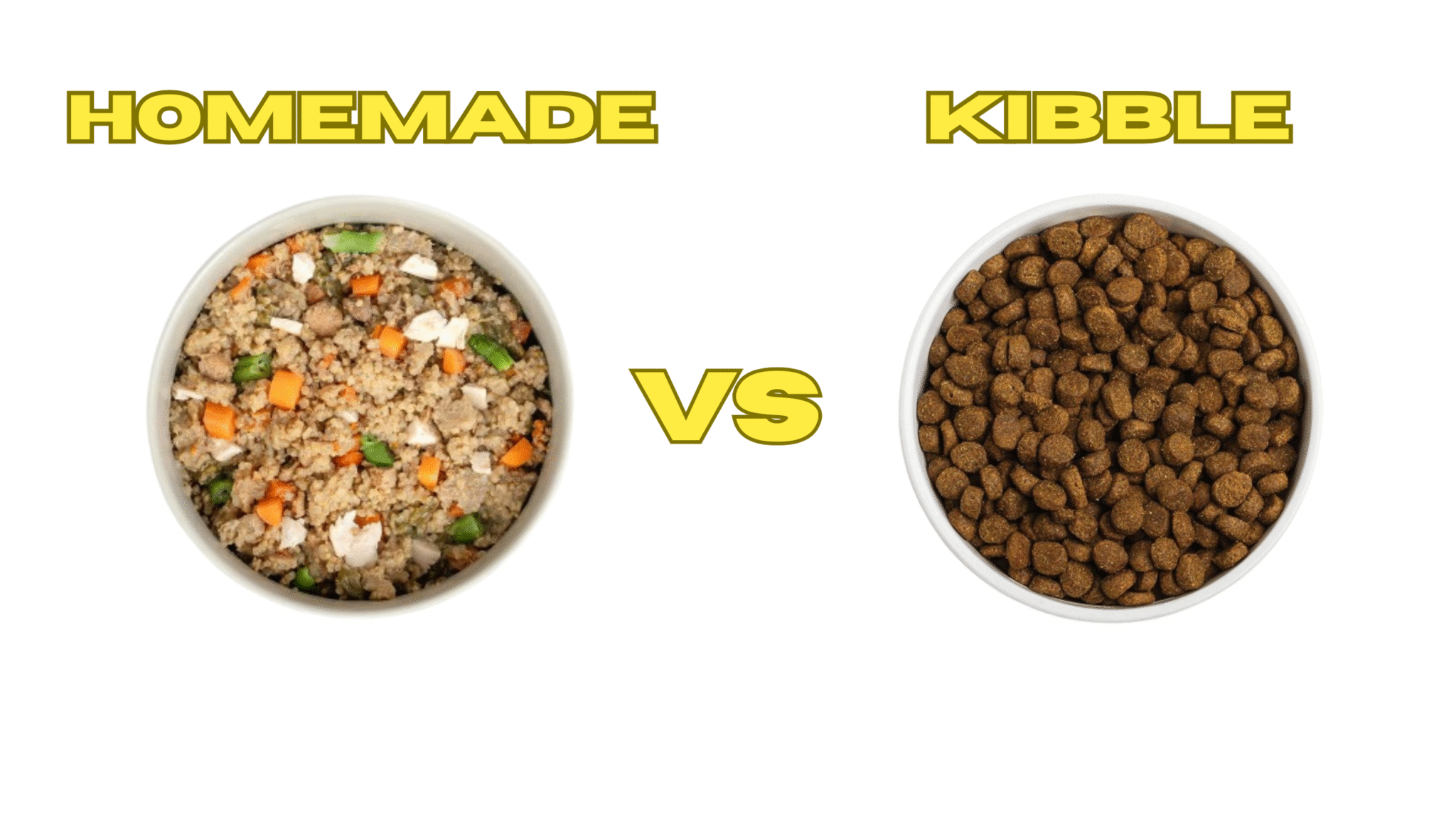Homemade Dog Food vs Kibble: 2025 Expert Guide