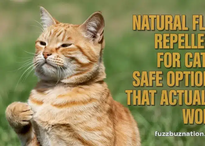 Chlorophyll for Dogs: Benefits, Risks & Vet-Approved Usage Tips